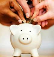 SEMINARSKI RAD IZ EKONOMIJE-STEDNJA